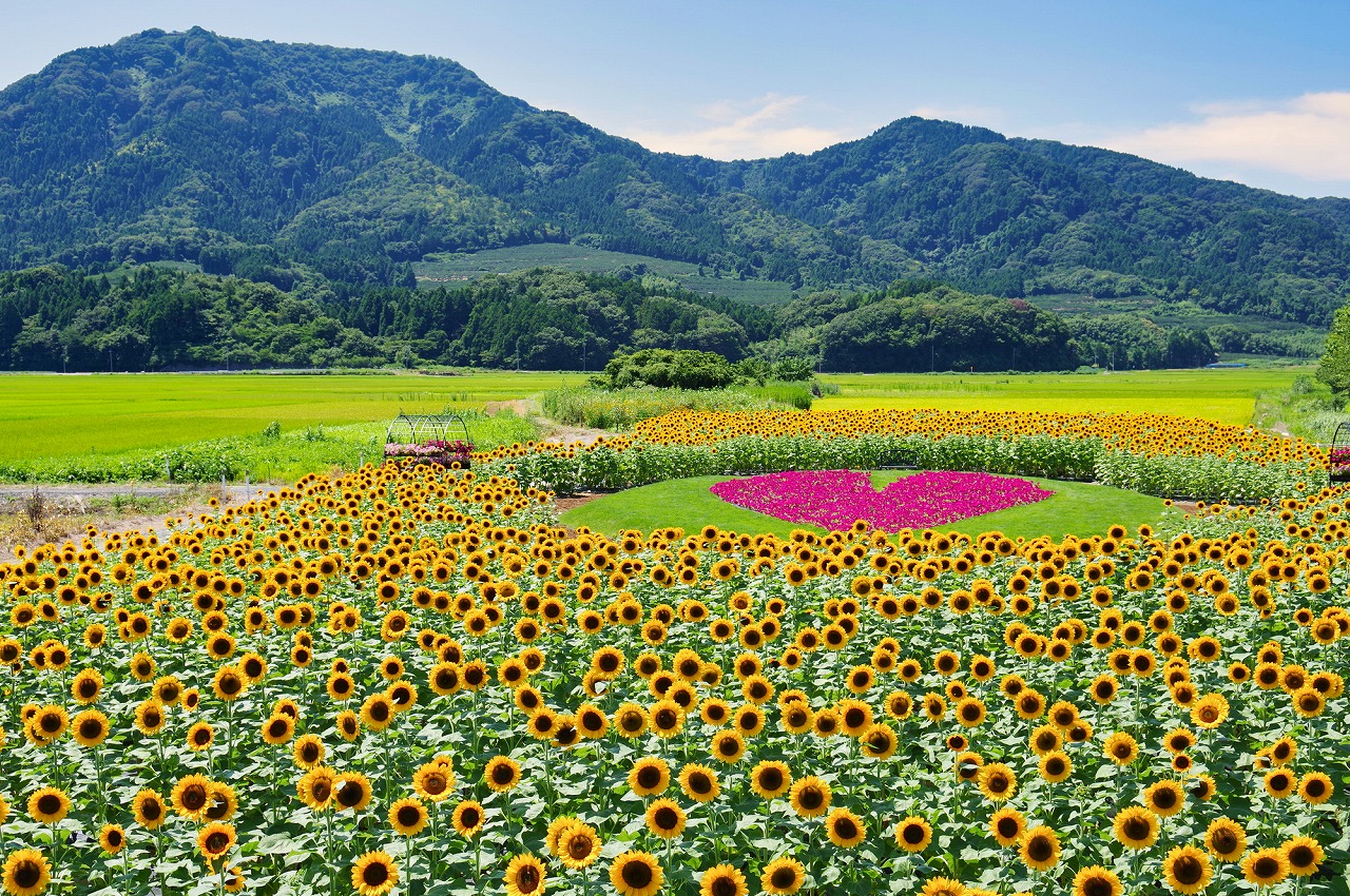 【2024年版】新潟市のおでかけスポット32選！定番・自然・酒蔵・地元グルメなど新潟観光通厳選の外出・暇つぶしにおすすめの場所はここ！｜アニー ...